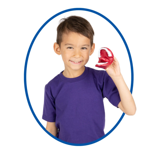 Títere de Boca - Testa Didácticos y Terapéuticos